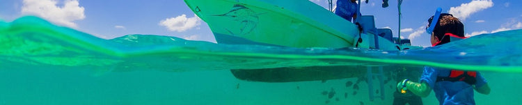 StingMaster – Sting Master